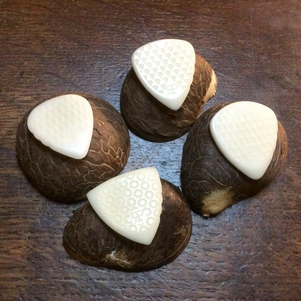 Pick Vegetable ivory | Riki the Pick Maker